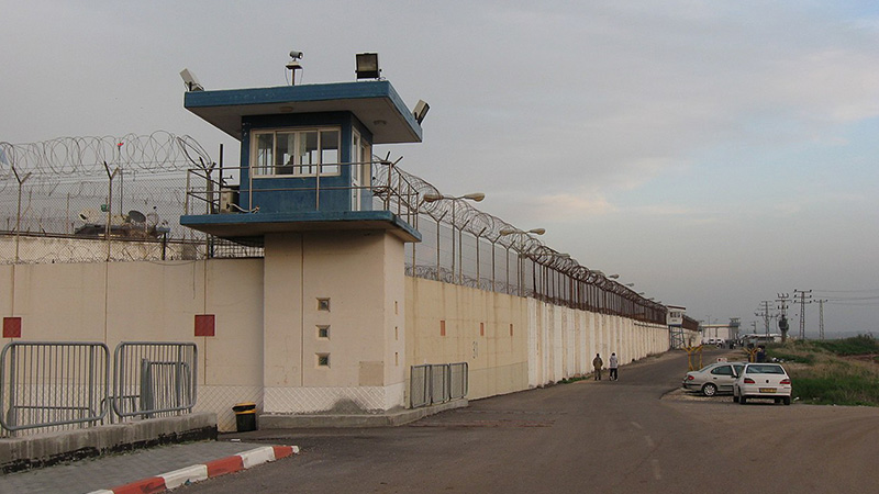 “Free Them All”: The Trampled Rights of Political Prisoners in the Arab ...