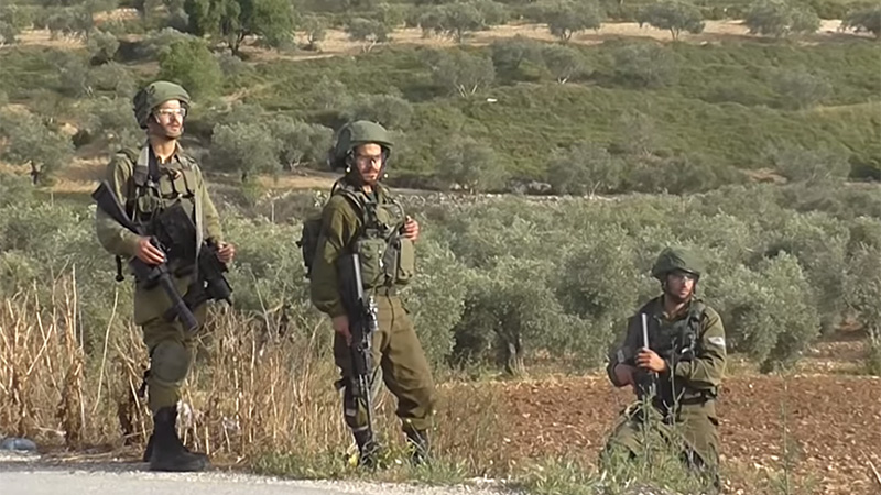 Ethnic Cleansing Examples