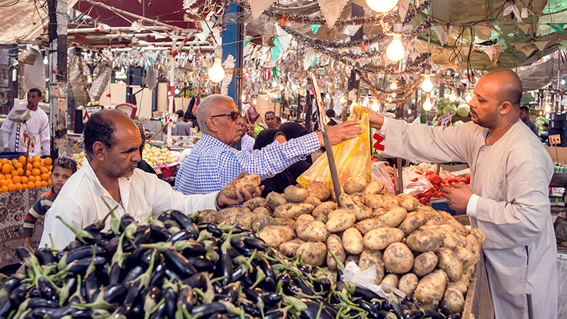 Egypt Is in Serious Trouble Seven Decades after Its Free Officers ...