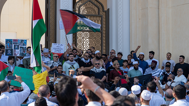 Although Limited, Arab Public Protests Against the War in Gaza Continue